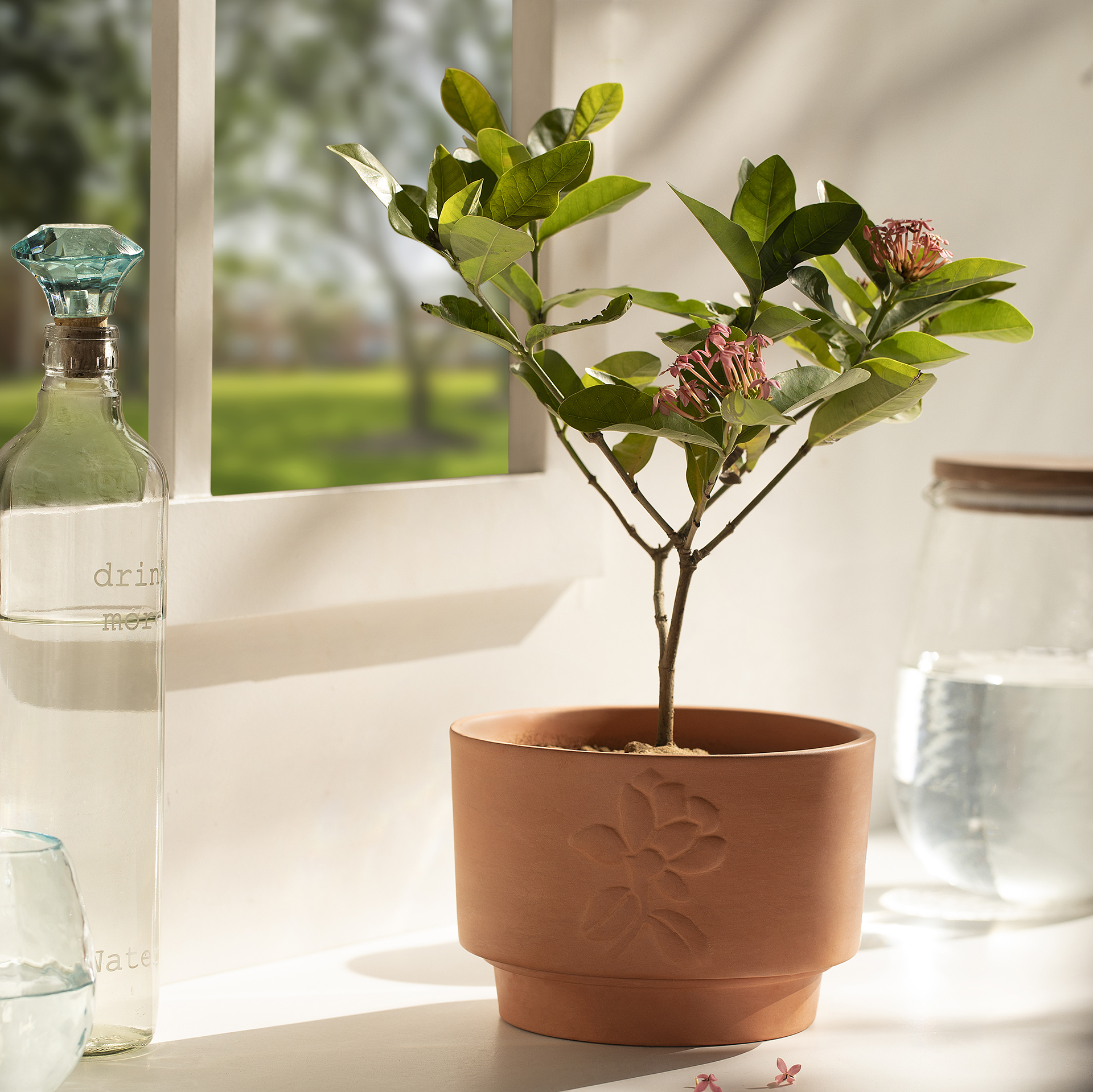 Plant a sustainable future with these charming and earthy planters ...