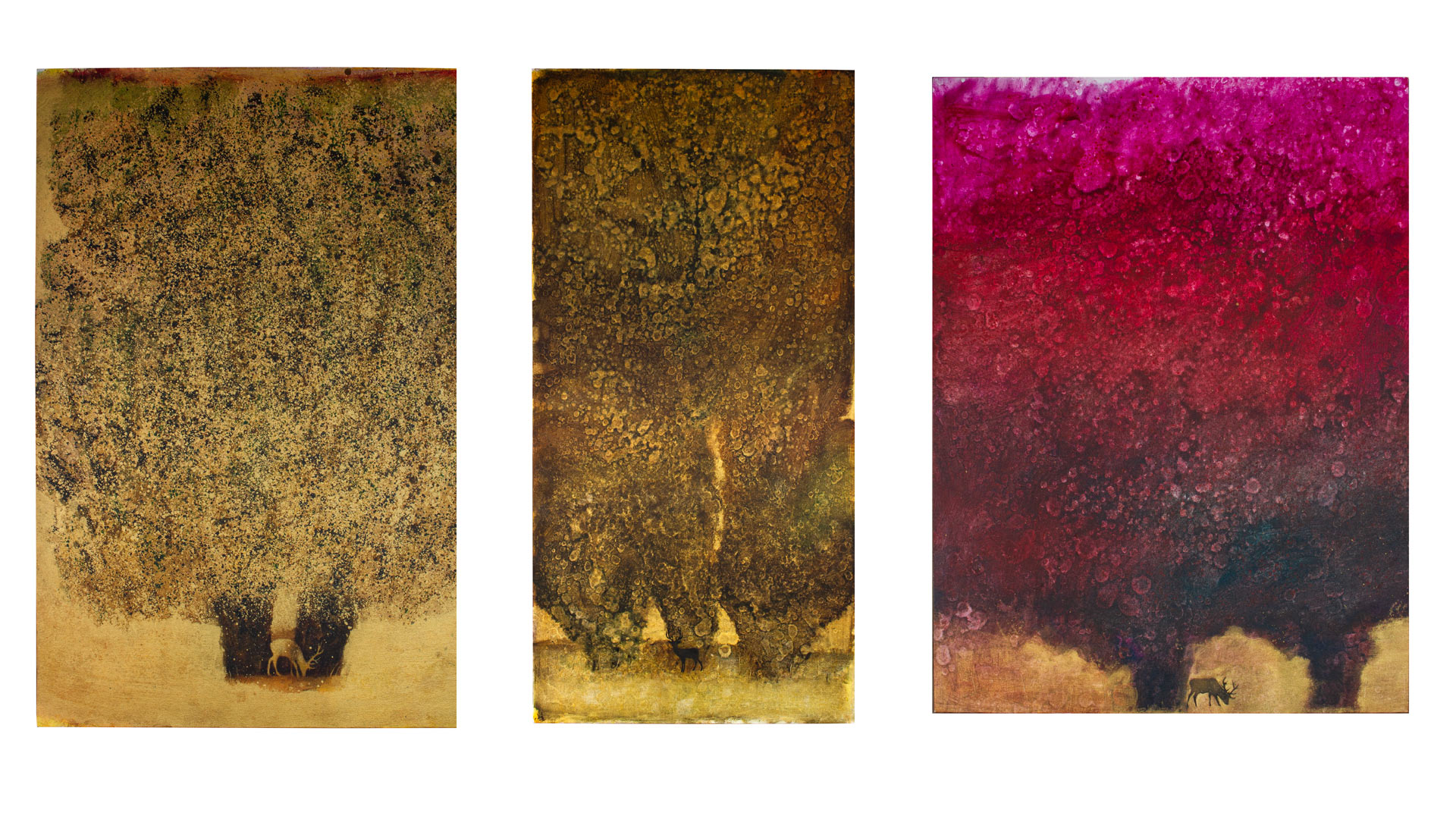 In his new series, Subhash Awachat gives due reverence to the sacred ...