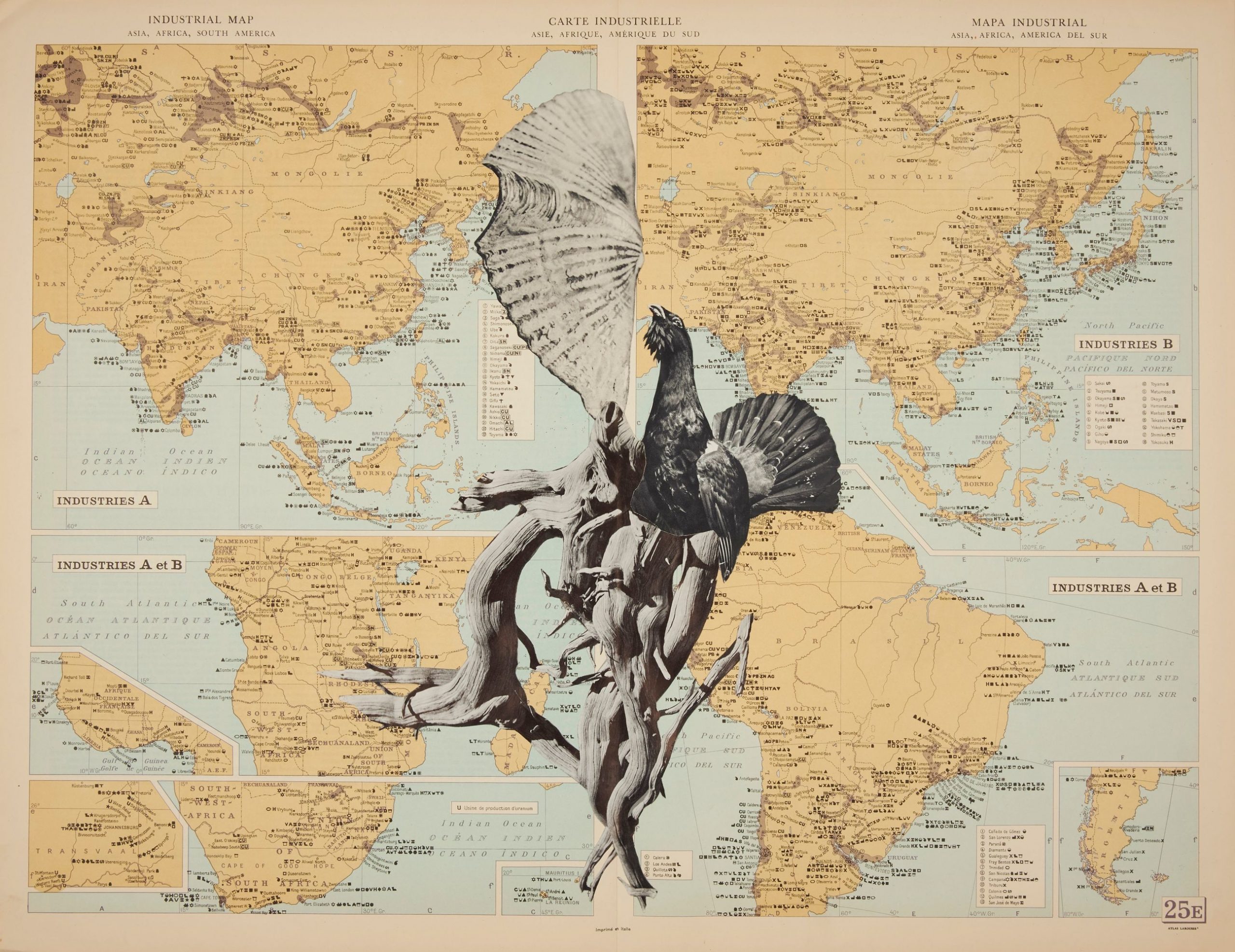 Tarq presents Apnavi Makanji’s recent work - Architect and Interiors India