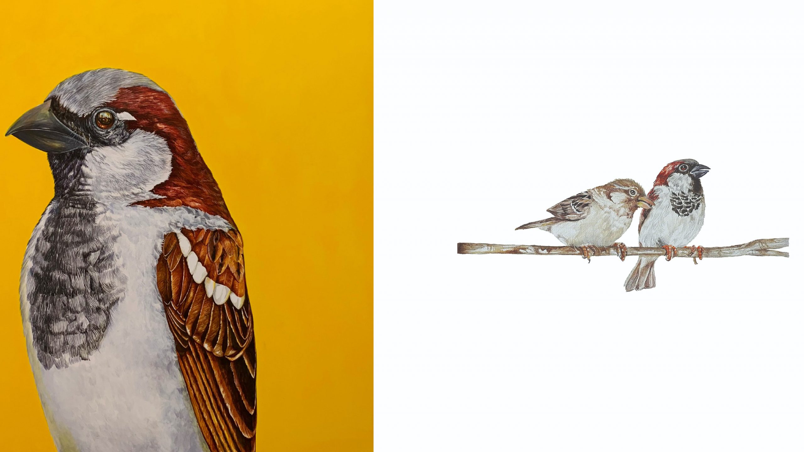 Artist and conservationist Rupa Samaria presents A Bird Call ...