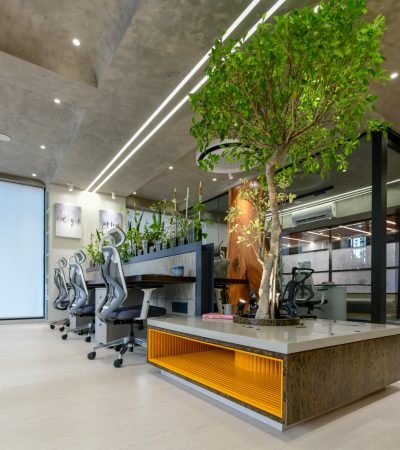 #AIExclusive: Showcasing the significance of a chaupal within an office ...