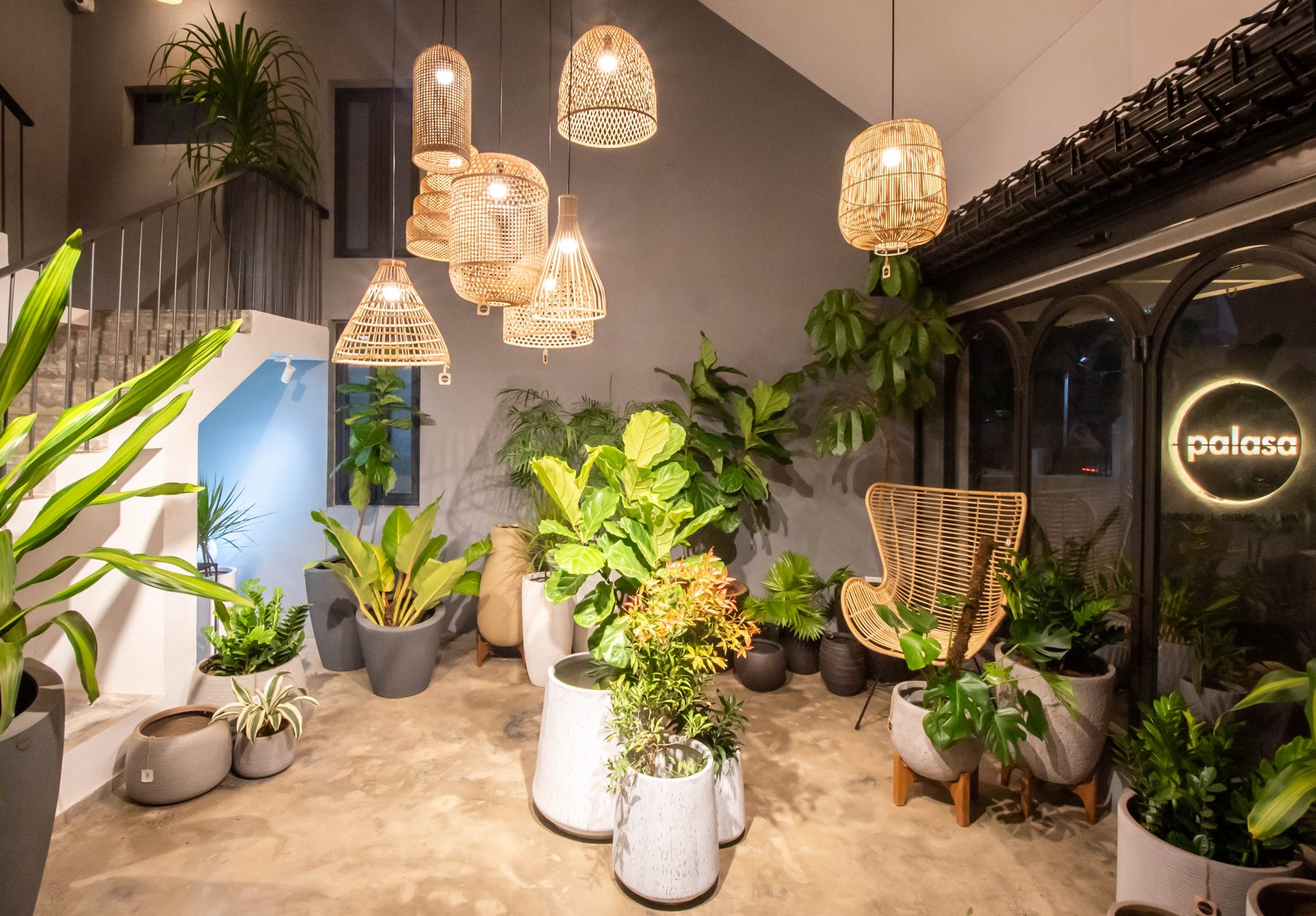 Make Those Plan(t)s: Studio Palasa Launches its Flagship Store in ...