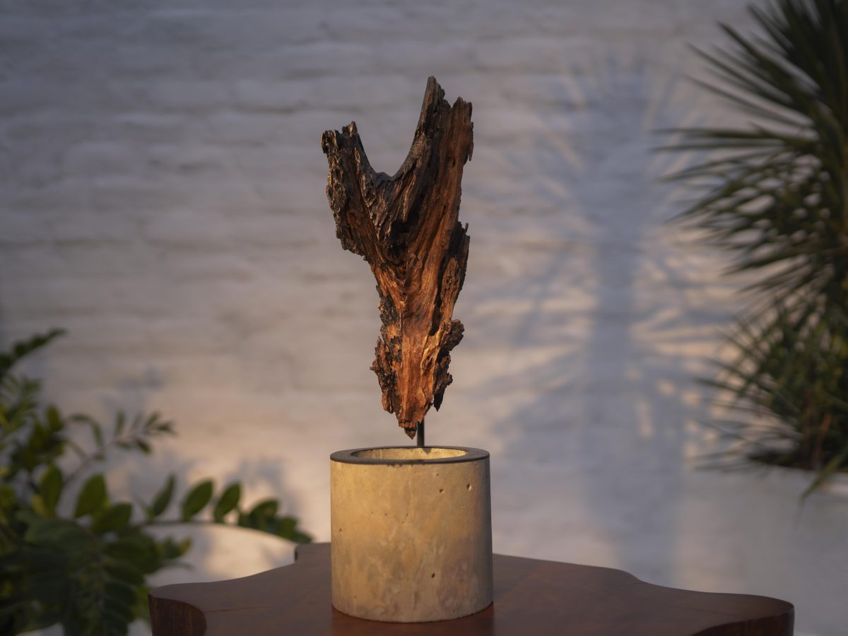 These rooftop decks bring living spaces outdoors - Architect and ...