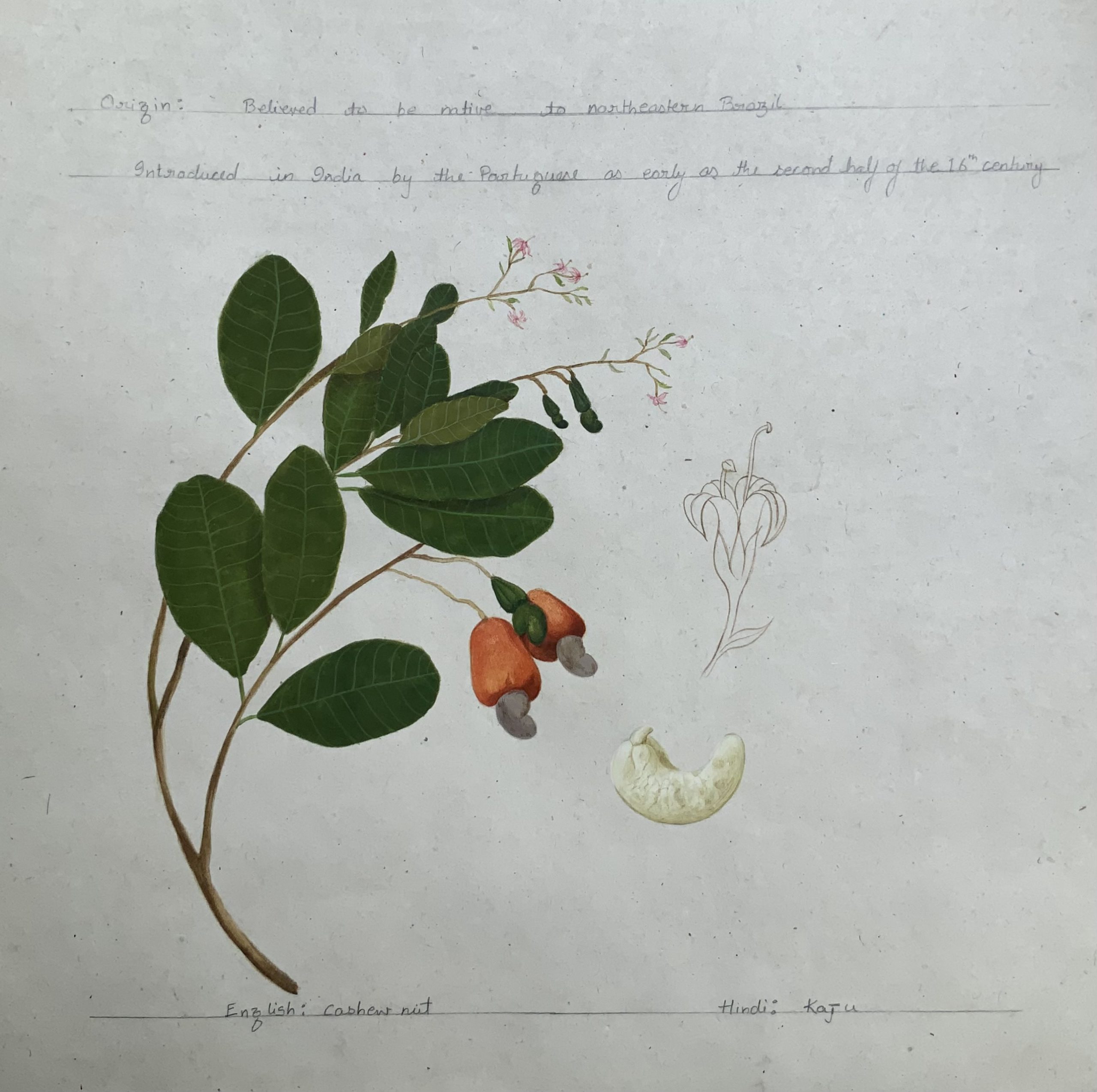 #DesignNews: Exhibit 'The World Awaits You like a Garden' opens in New ...