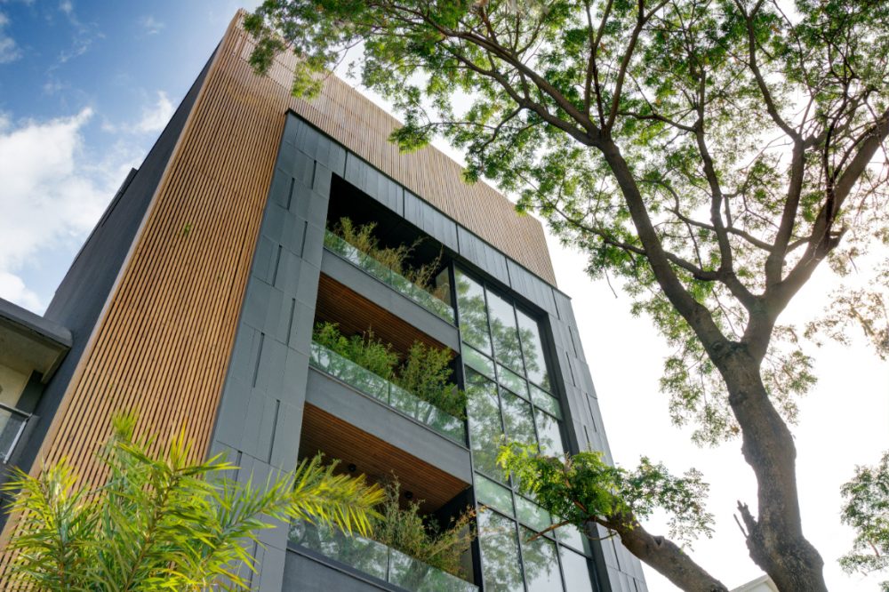 #LetsTalk: Vertical greens paving the path for sustainable living ...