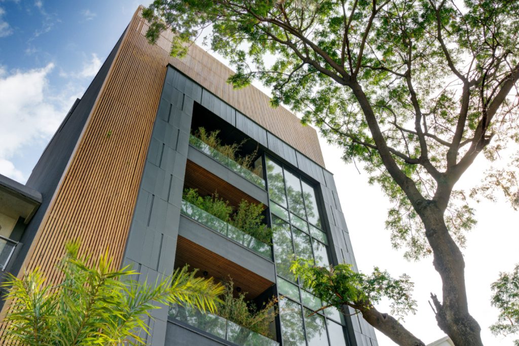 #LetsTalk: Vertical greens paving the path for sustainable living ...