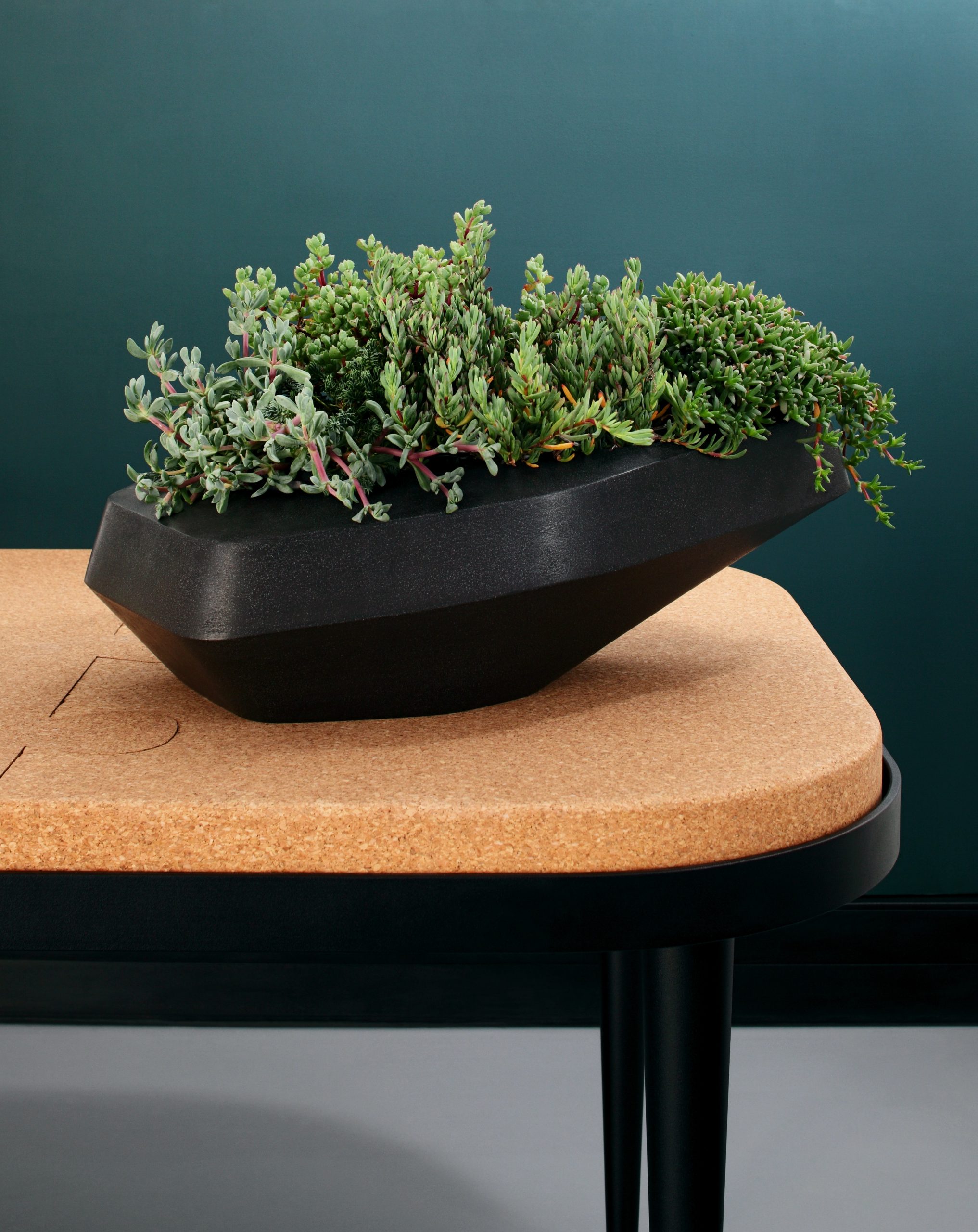 Explore this range of planters that draw from geographic marvels ...
