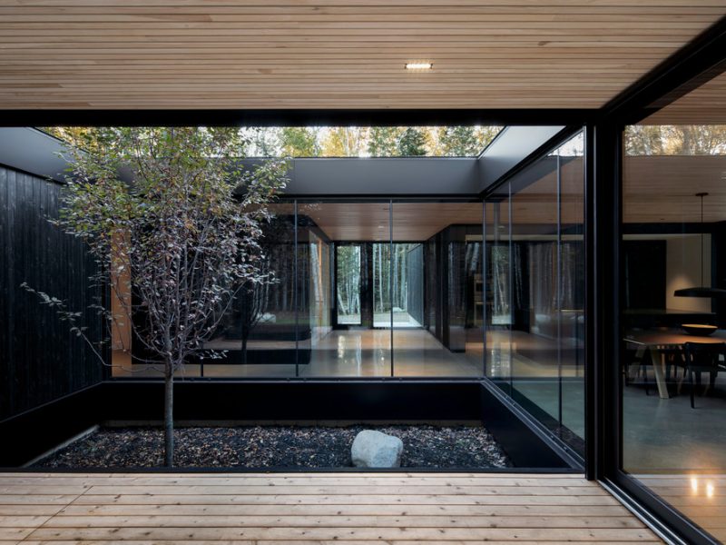 The Apple Tree House in Canada is a modernist glass residence embracing ...