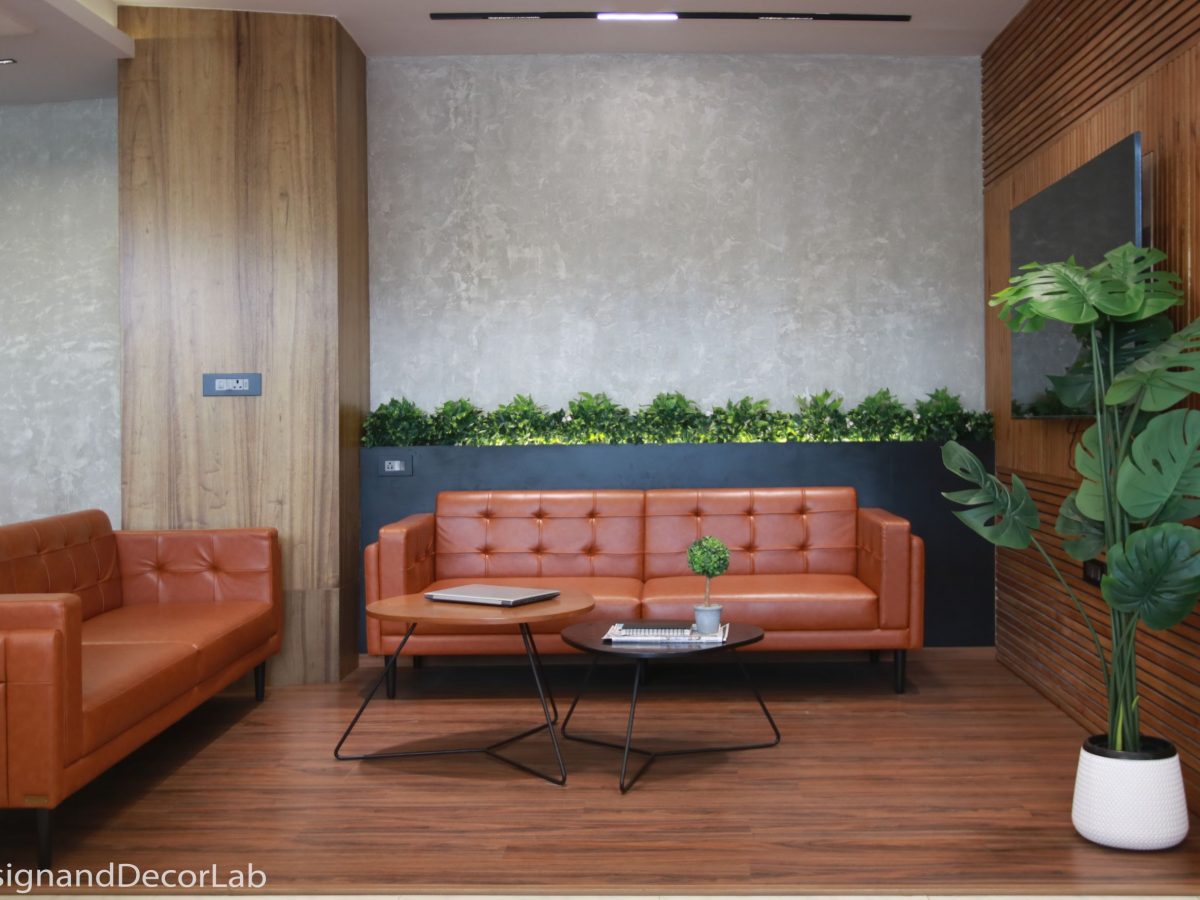 #AIExclusive: Indore’s pre-owned luxury cars get a brand new showcase ...