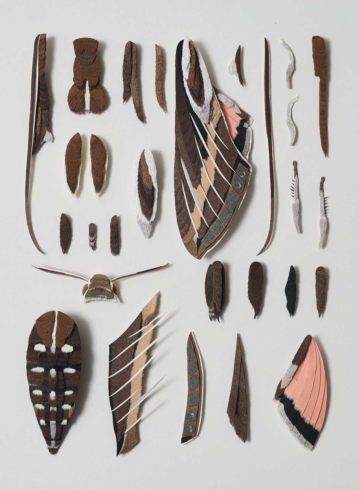 Deconstruct the notions of natural history in this magnified art ...