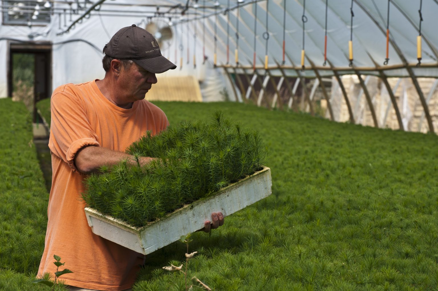 Celebrate the many facets of timber on the occasion of World Wood Day ...