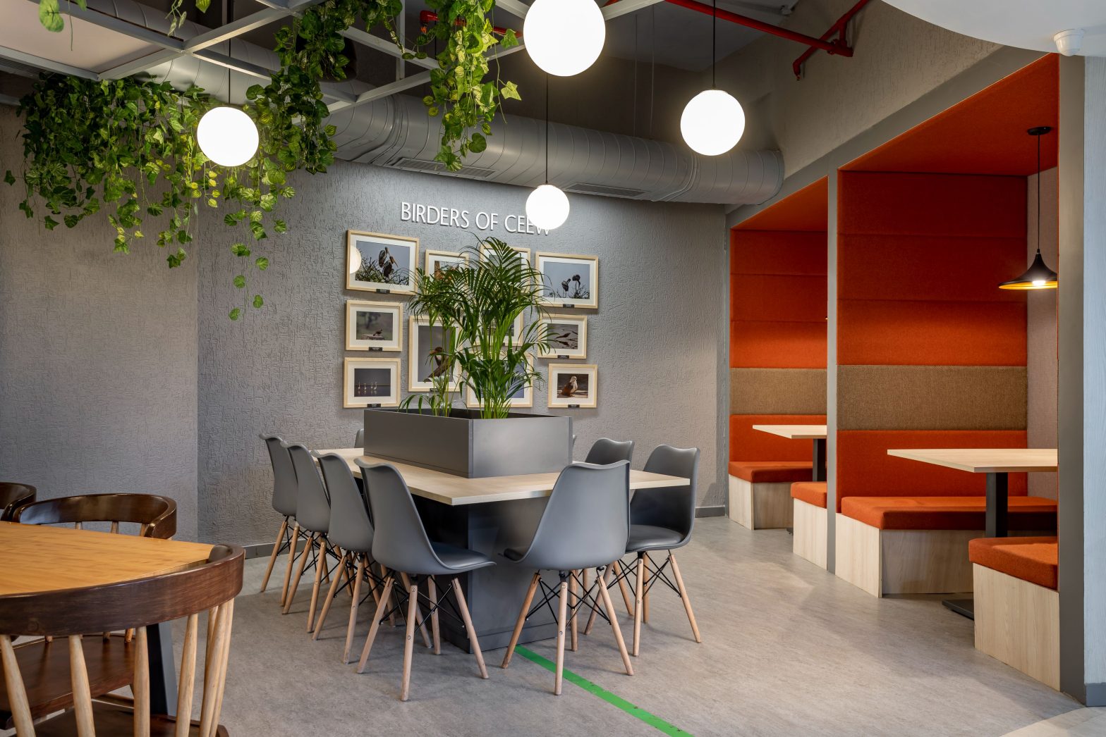 Make conscious choices at this contemporary Delhi office - Architect ...