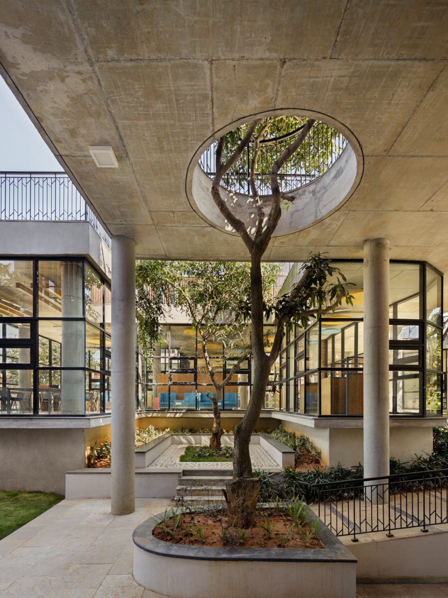 Look forward to a conscious curriculum at Bengaluru's organic school ...