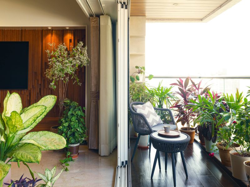 Trace the intangible ties between humans and nature captured by these ...