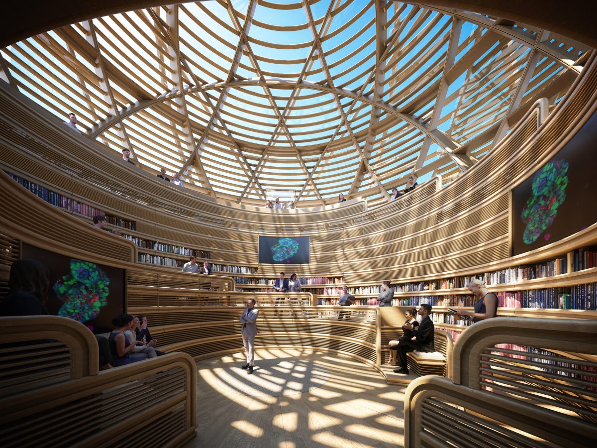 On top of the world's Best Tall Building designed by BIG - Architect ...