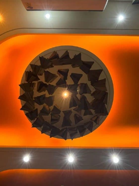 Glimpse inside Dwarka's aviation office where technology meets art ...