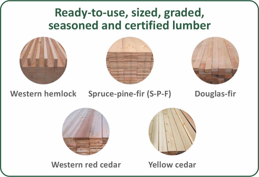 Follow the story of B.C. Canada Wood species – A Leader in Sustainable ...