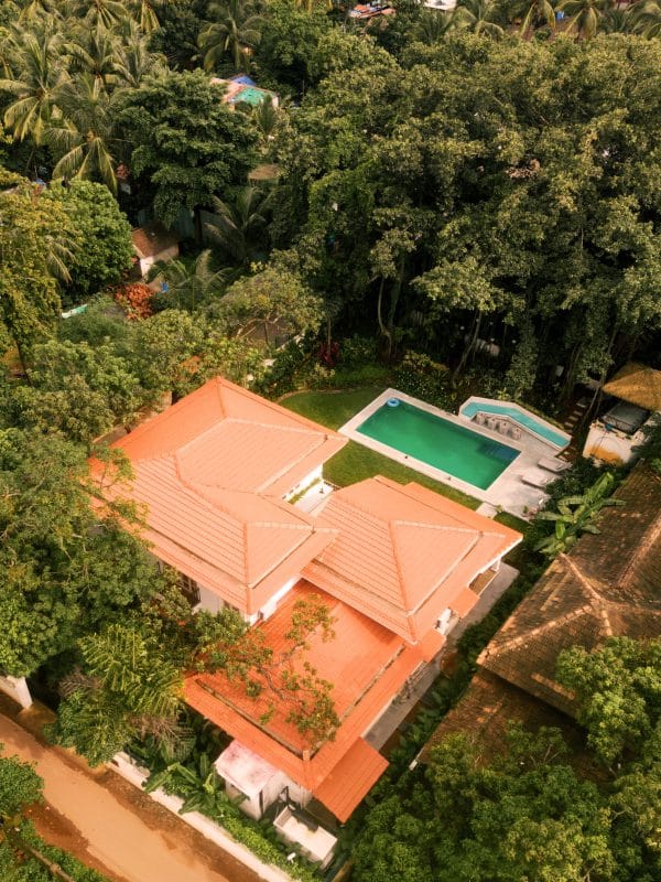 Experience the intoxicating blend of European elegance and alcoholic ...