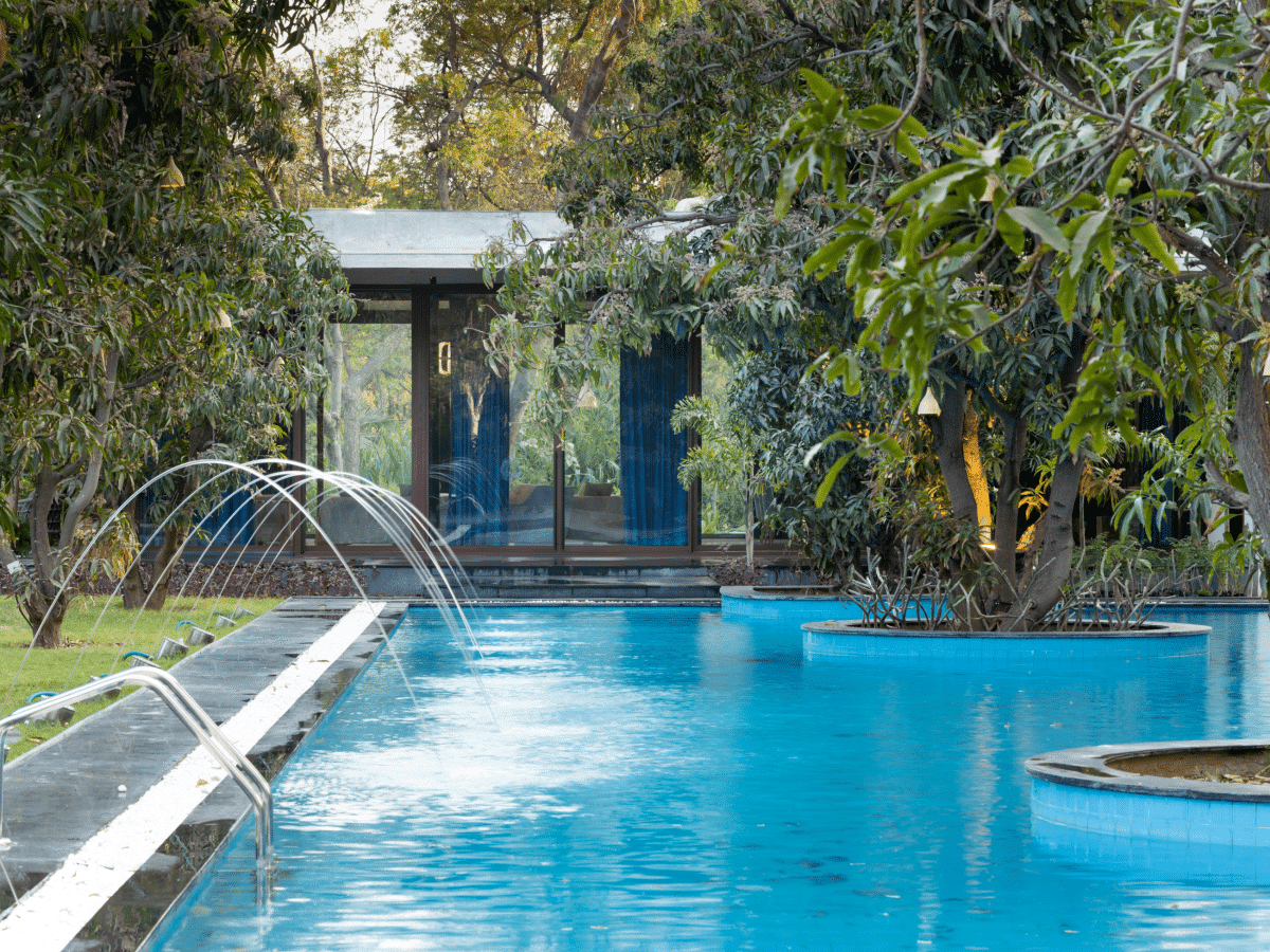Dive into this pool house nestled amidst a Mango haven - Architect and ...