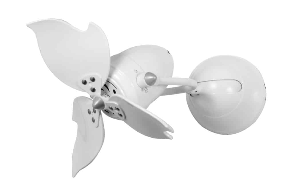 Get breezy with a collection of fans inspired by fragrant gardens ...