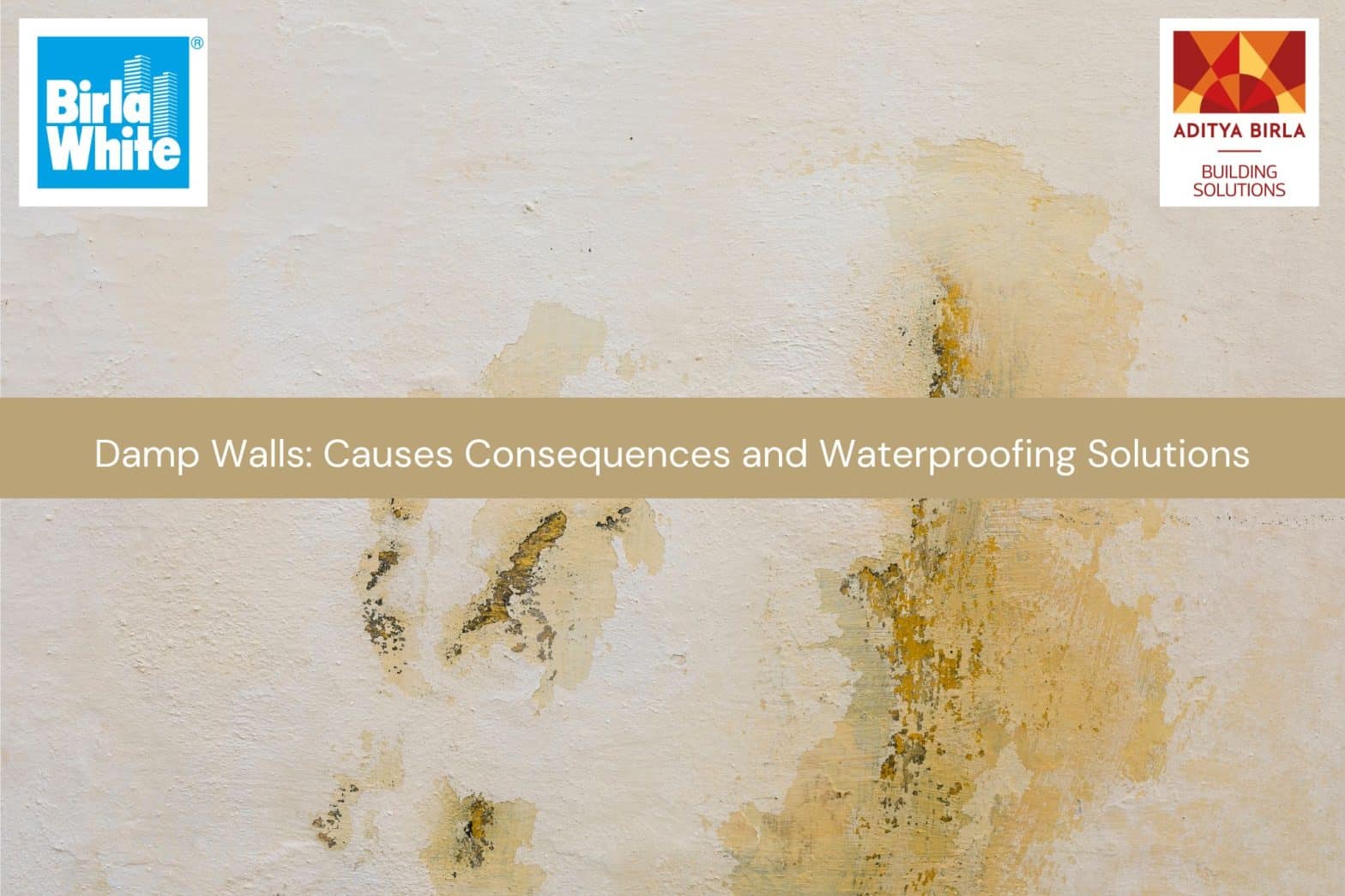 Waterproofing solutions for damp walls: Protect your home from damage ...