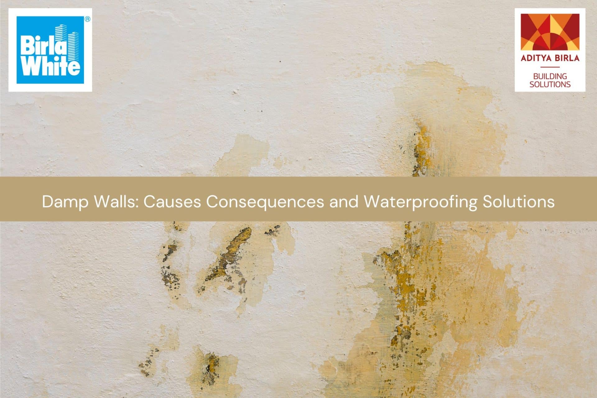 Waterproofing solutions for damp walls: Protect your home from damage - understand the causes ...