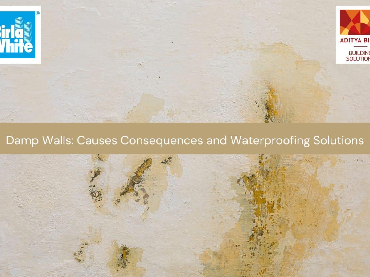 Waterproofing solutions for damp walls: Protect your home from damage ...