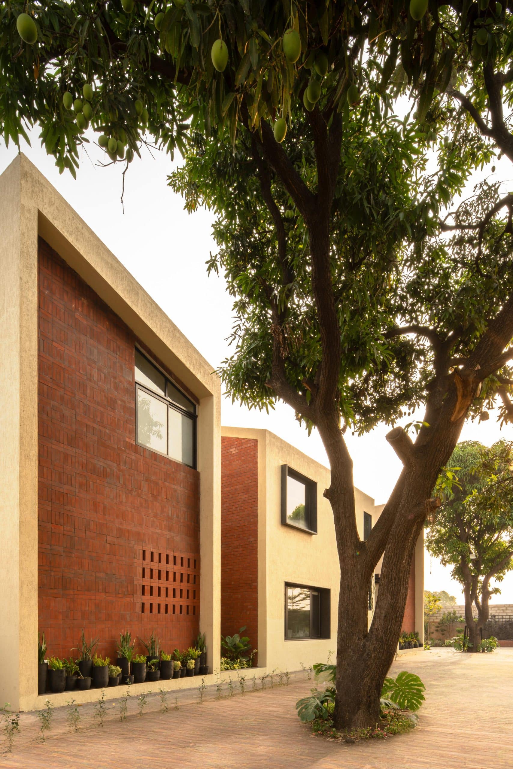 Live the Eden dream in this sculptural, MuseLAB-coded home in Raipur ...