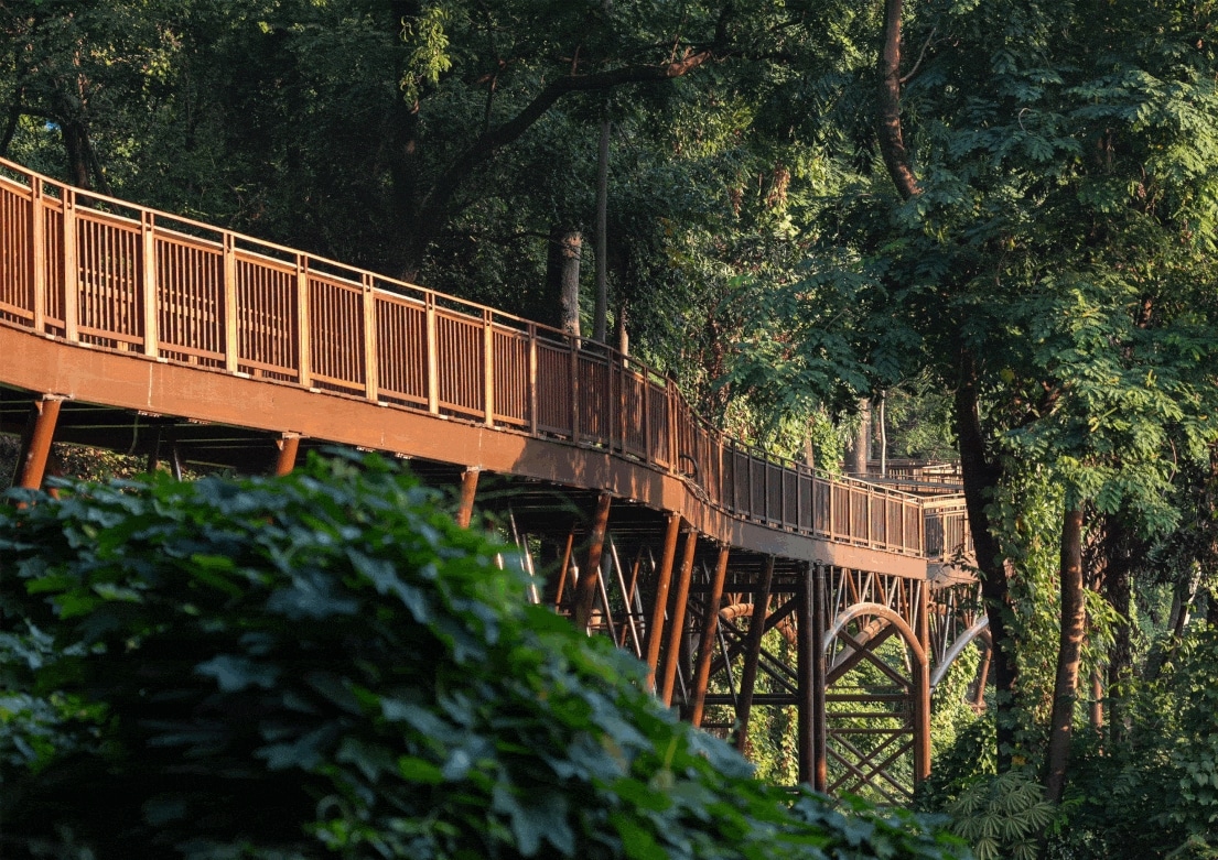 Be at one with nature at the Malabar Hill Forest Trail by IMK ...