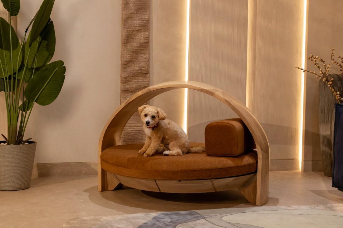 Discover luxury pet furniture by UCUORO