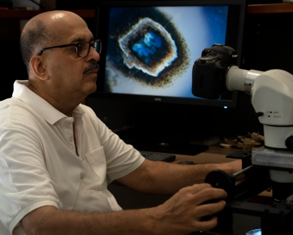 Discover the mysteries of nature from 'Infinitesimal to Infinity' at ...