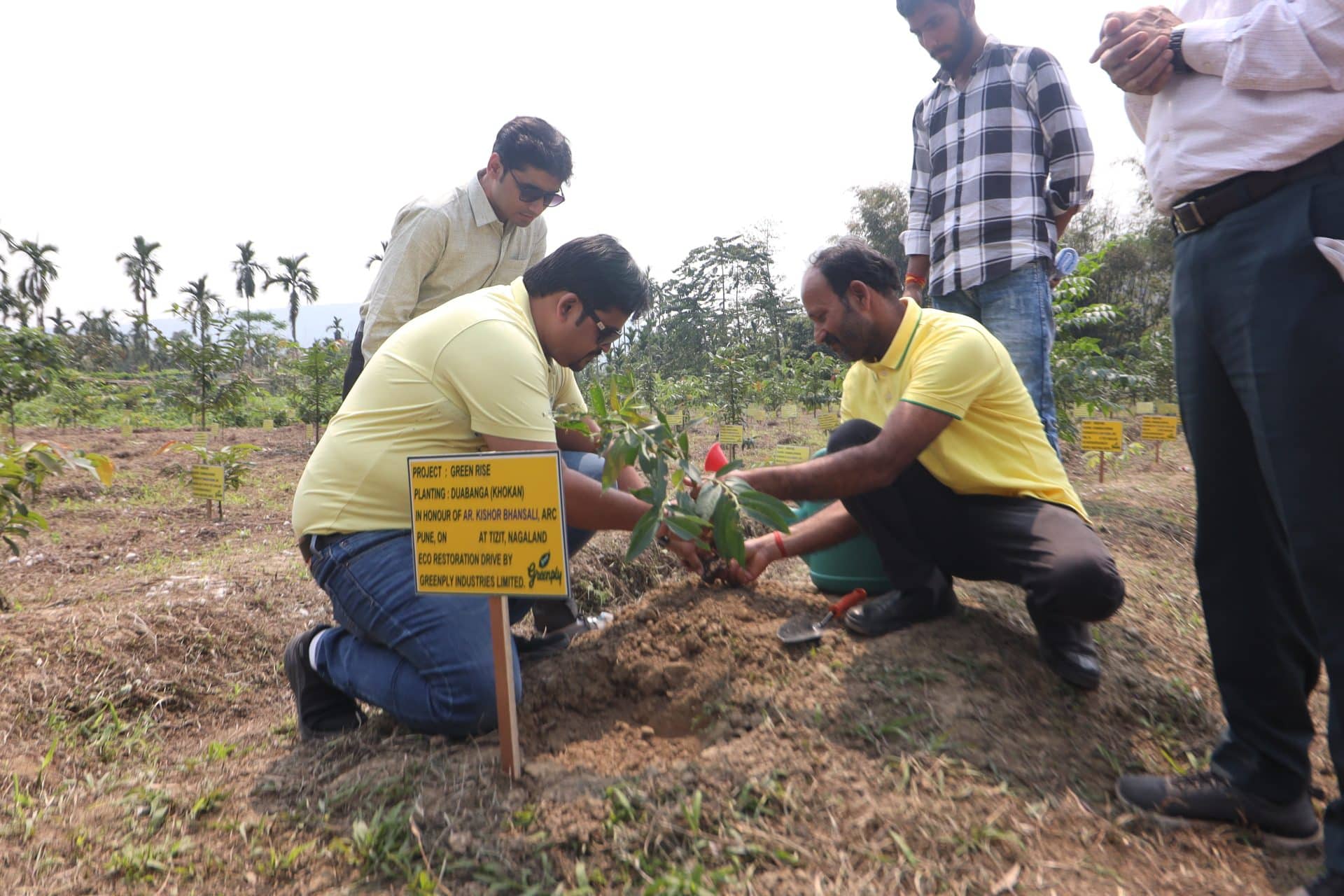 Greenply's Pioneering Initiatives for Sustainable Development in India ...